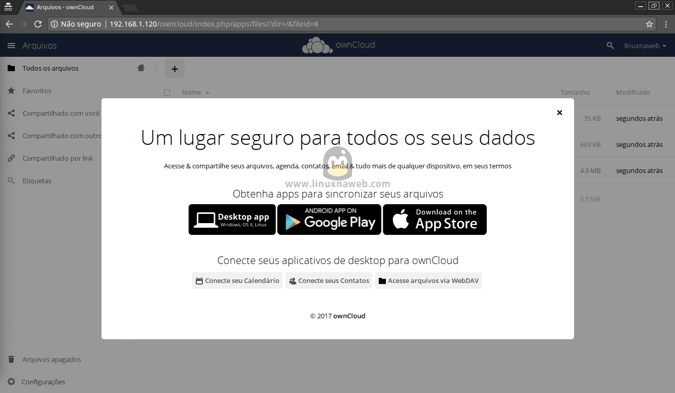 Linux na Web - Linux, TI, Infra e DevOps