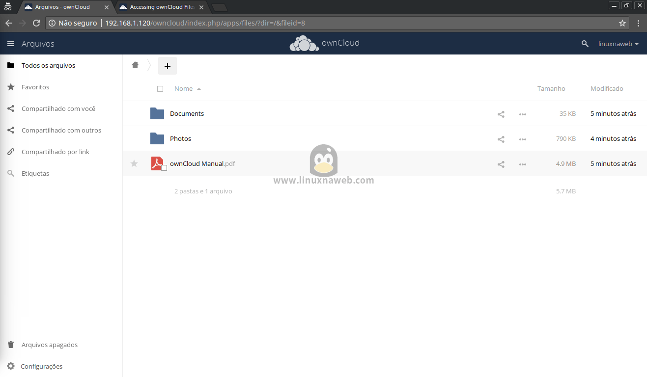 Linux na Web - Linux, TI, Infra e DevOps
